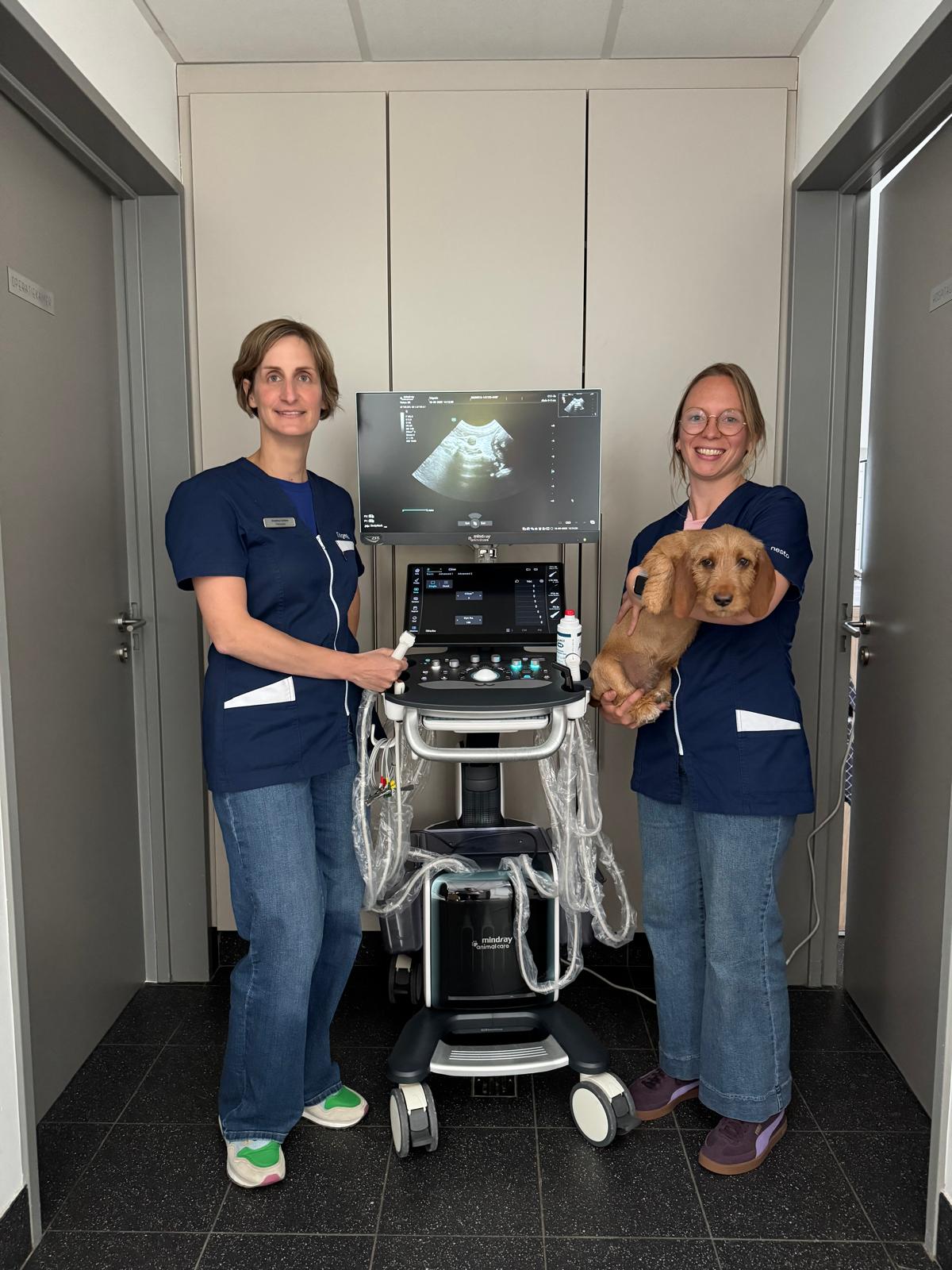 Installatie Vetus 80 bij Dr. Dietens van DAC Trigenio | Veterinary ...